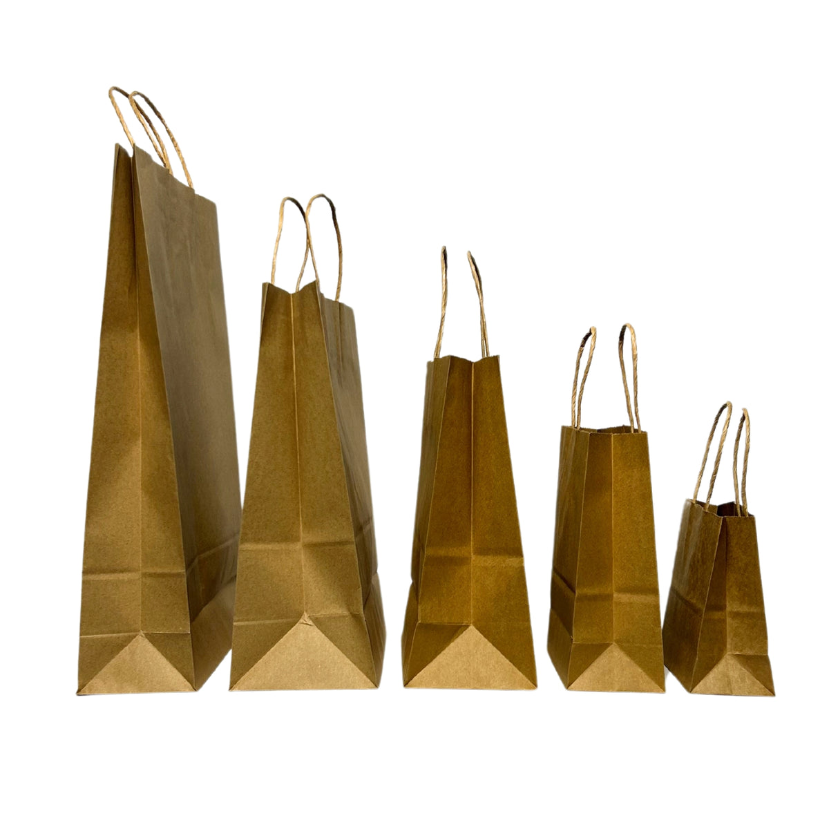 Eco-Friendly 100% Recycled Kraft Brown Paper Bag – DI Home