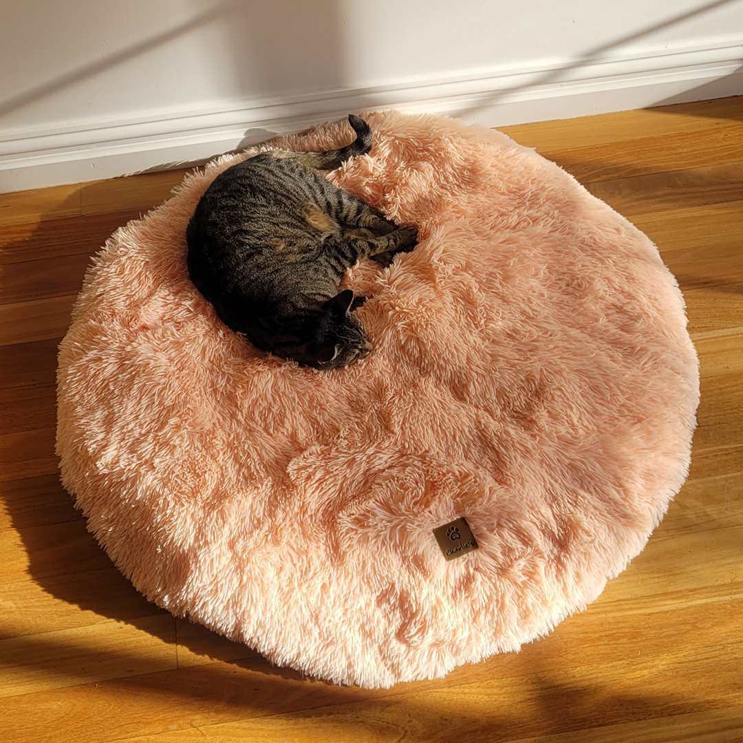 Shaggy Faux Fur Round Padded Lounge Mat - Soft Beige – DI Home